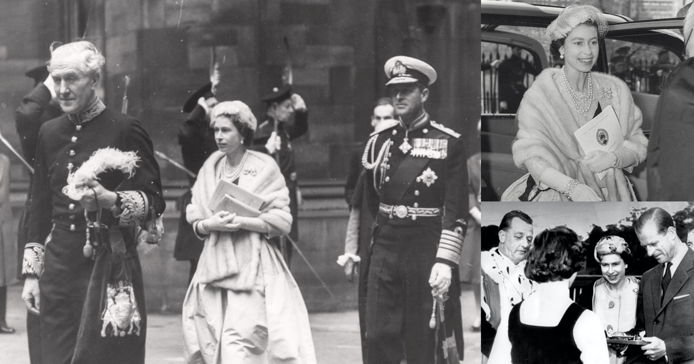 11 | The Royal Watcher